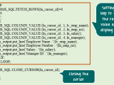 Oracle Pl Sql Dynamic Sql Tutorial Execute Immediate Dbms Sql