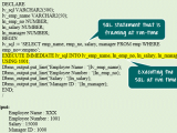 Oracle Pl Sql Dynamic Sql Tutorial Execute Immediate Dbms Sql