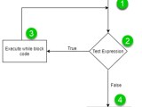 Difference Between While And Do While Loop In C