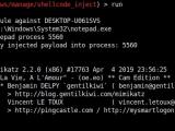Shellcode Injection For Beginners