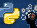 Beginner Level Python Programming Training Python Introduction