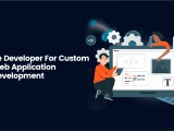 Hire Developer For Custom Web Application Development