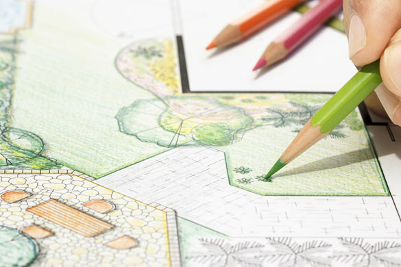 Backyard Landscaping Ideas – Home and Gardening Guide