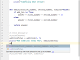 Python Function Scope
