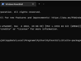 Windows Set Python Version