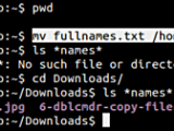 Linux Mv Command Explained For Beginners 8 Examples