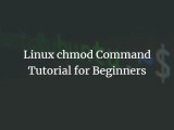 Linux Chmod Command Tutorial For Beginners