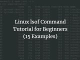 Linux Lsof Command Tutorial For Beginners 15 Examples