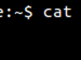 10 Linux Cat Command Examples For Beginners