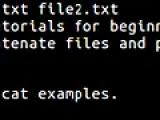 10 Linux Cat Command Examples For Beginners