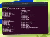Linux Might Soon Run Multiple Kernels At Once Howtouselinux