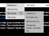 Css Dropdowns Html Dog