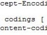 Http Header Fields