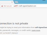 Risk Of Self Signed Ssl Certificate On Internal And External Environment