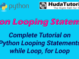 Python Looping Statements