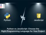 Python Vs Javascript Choose The Right Programming Language For Your