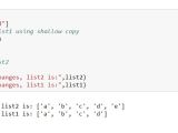 Python Shallow Copy I2tutorials