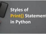 Different Styles Of Print Statements In Python Programming I2tutorials