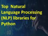 Top Natural Language Processing Nlp Libraries For Python I2tutorials