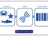 Dna Barcoding Upsc Iasexam