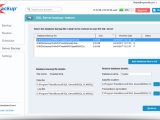 Restore Ms Sql Server Data Steps