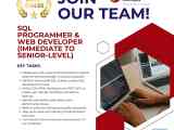 We Are Hiring Sql Programmer Web Developer Intuitive Business Concepts