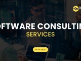 Future Ready Software Consulting Services For Modern Businesses Icoderz