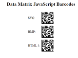 Javascript Data Matrix Barcode Generator