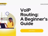 Voip Routing A Beginner S Guide Idt Express