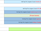 Program At A Glance Iffs World Congress 2025