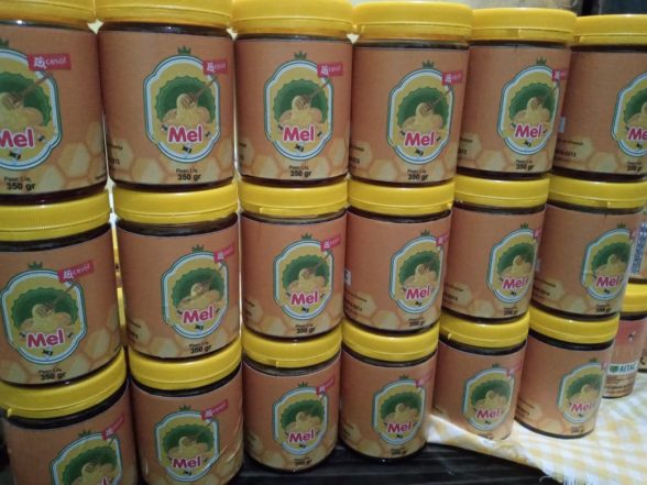 Mel produzido por comunidade indígena ganha mercado - Ilhéus Net