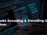 Base64 Encoding Decoding Using Python