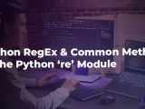 Python Regex Common Methods In The Python Re Module