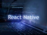 Expert React Native Developer Custom React Native Apps