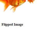 Flip An Image Element Using Css