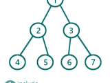 Perfect Binary Tree