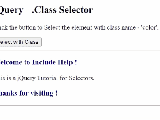 Jquery Class Selector