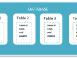 Mysql Create Database Statement