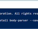 Passport Local Strategy Section 1 Node Js