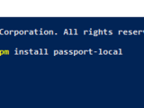 Passport Node Js Jnrblock