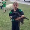 Boy Catches Vulture Thinking It S A Chicken Video Goes Viral
