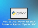 How To Use Python For Seo Essential Python Tips For Seo Infidigit