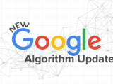 Google Algorithm Updates The History Infinite Ace