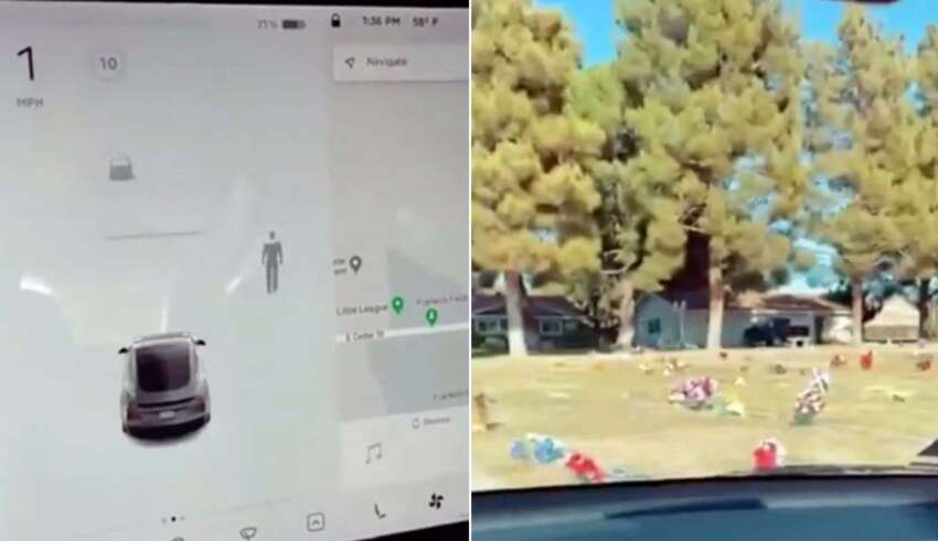 The Autopilot Of Tesla Car Detected A Ghost In A Graveyard