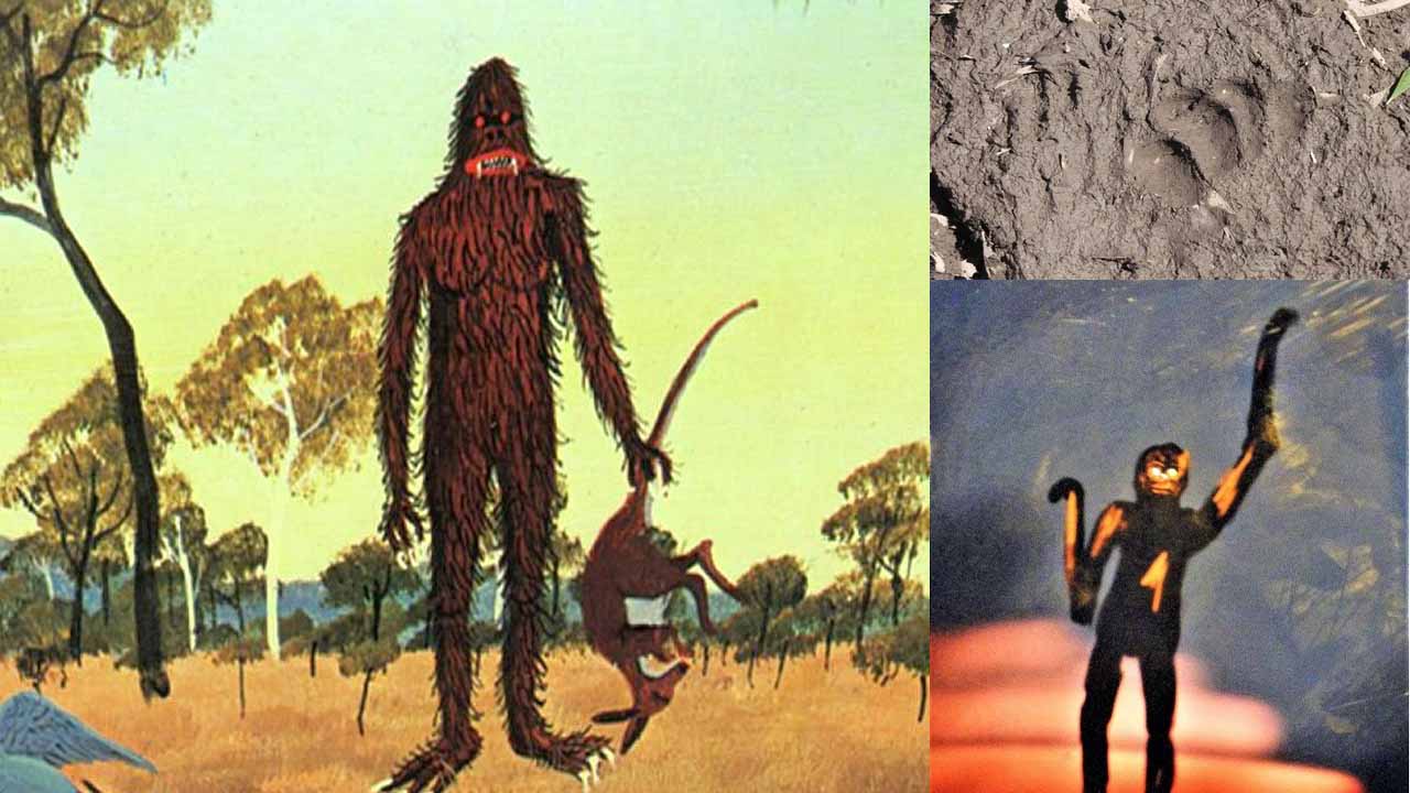 Strange Hairy Yeti Like Creature Witnessed In Australia By The Daughter ...