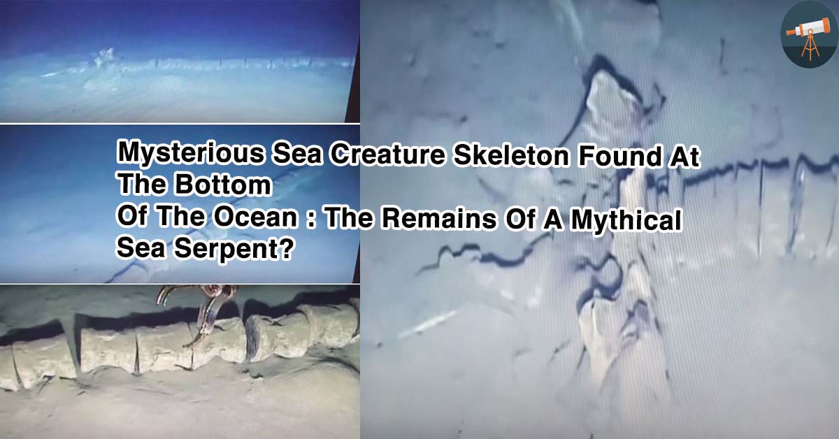 Mysterious 30 Metre Large Skeleton Found In Mediterranean Sea: The ...