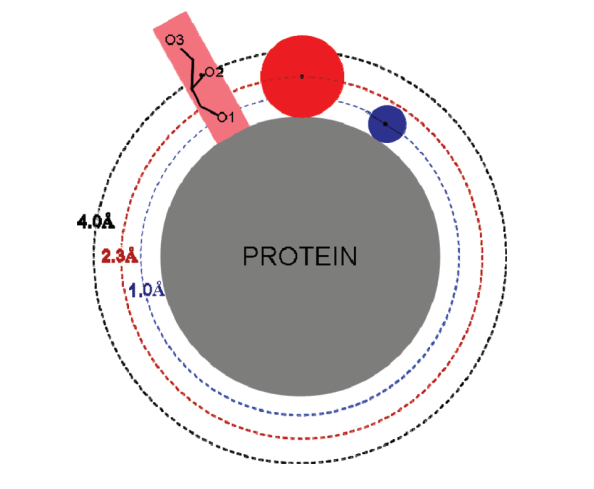 Glycerol-induced protein stabilization and prevention of protein ...