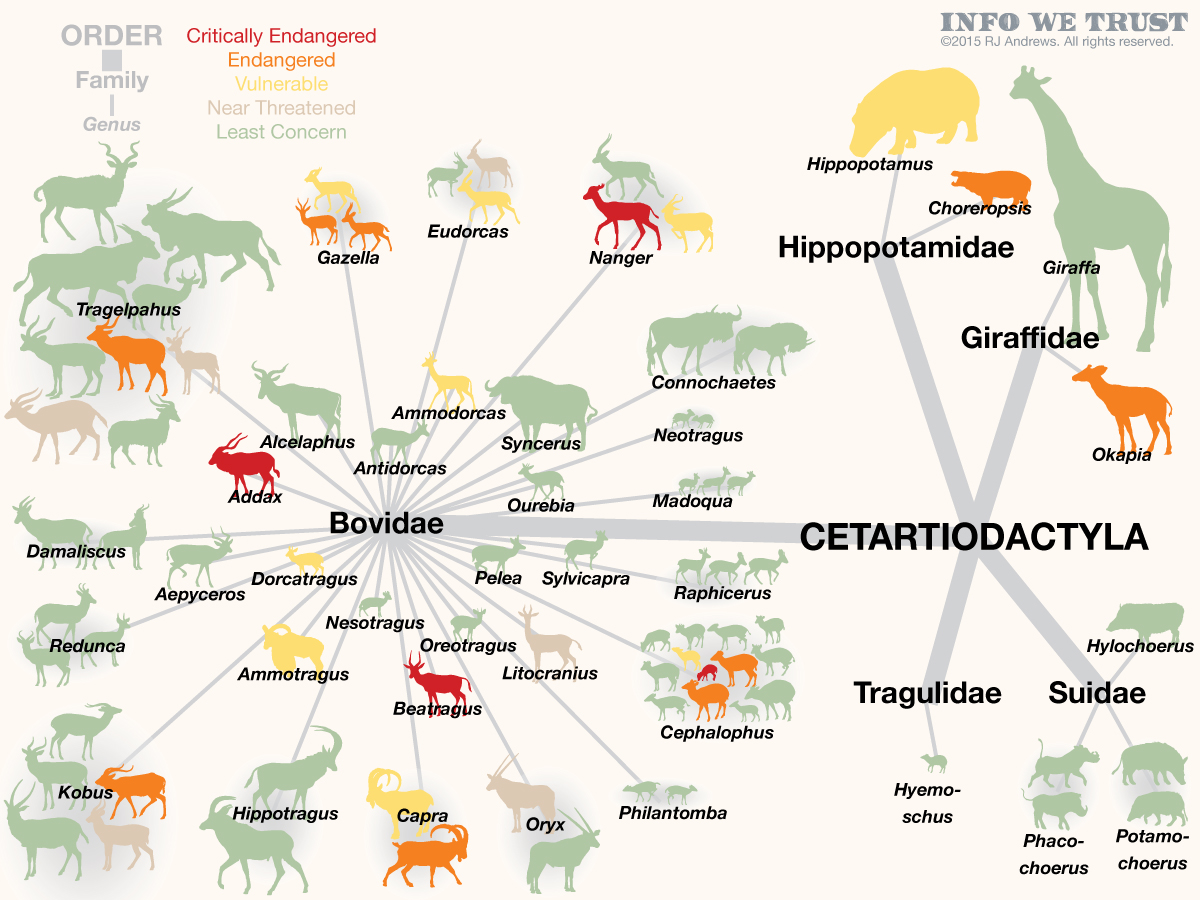 Endangered Safari – info we trust.