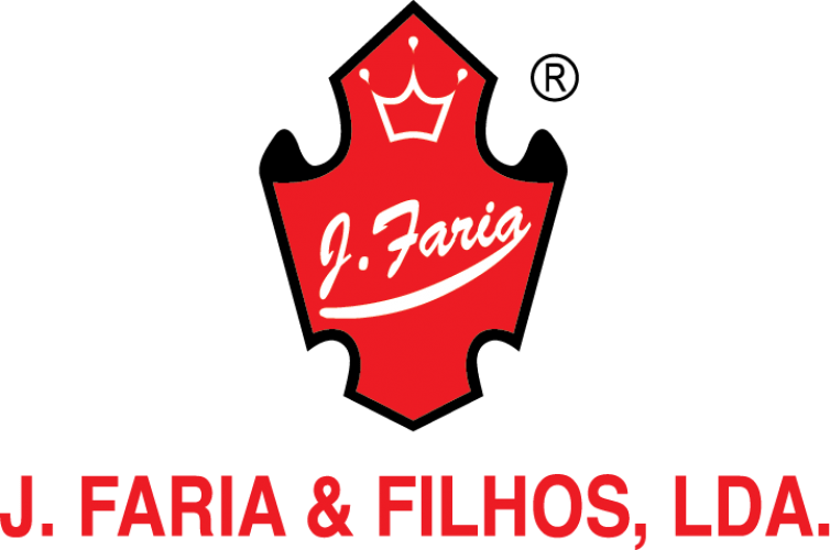 Fatores de Sucesso - INSC